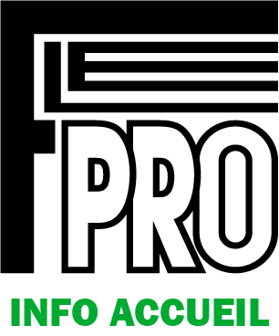 FLE pro en images - Maison de l'Emploi du Bocage Bressuirais